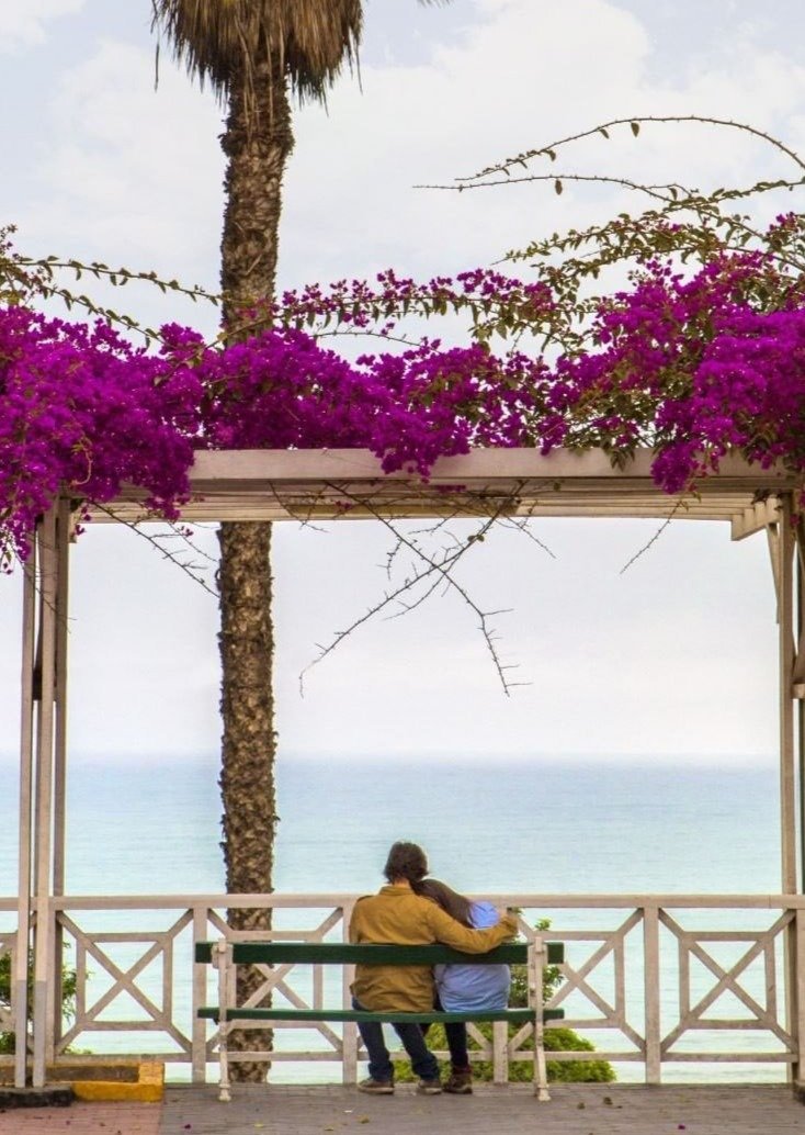 CONSTRUCTORA | Armando Paredes – ELHAnovias